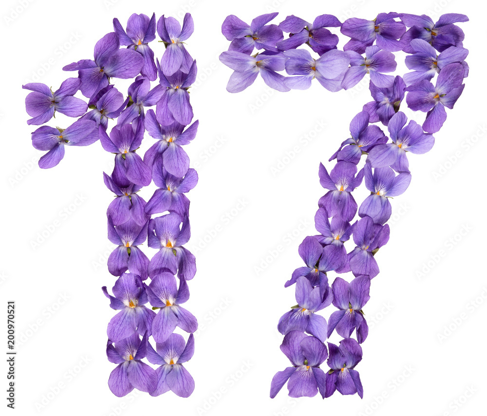 Arabic numeral 17, seventeen, from flowers of viola, isolated on white ...