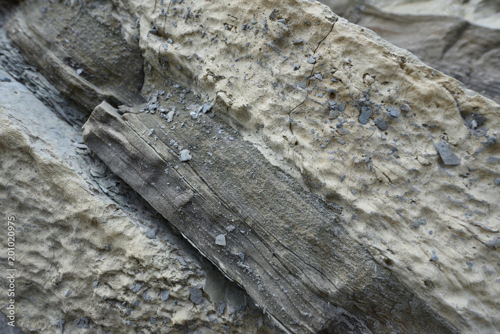 Beautiful structure of the rock, consists of a solid rock in the form ...