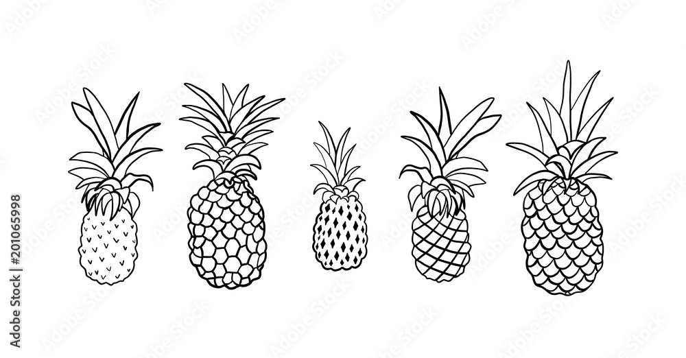 Vector set of five pineapple fruit. Tropical summer vacation collection ...