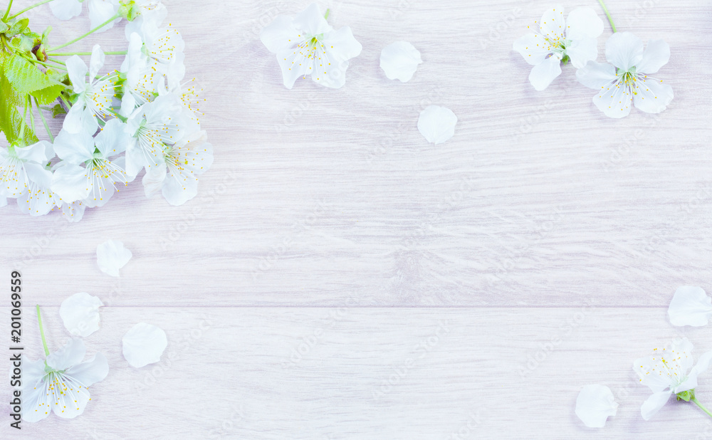 Art spring border background. Spring flowers on wooden background Stock ...