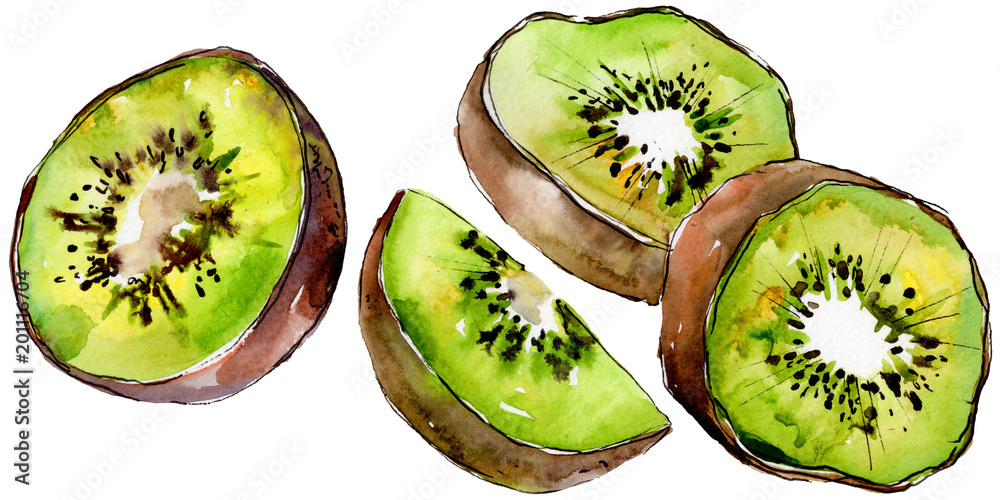 Exotic kiwi healthy food in a watercolor style isolated. Full name of ...