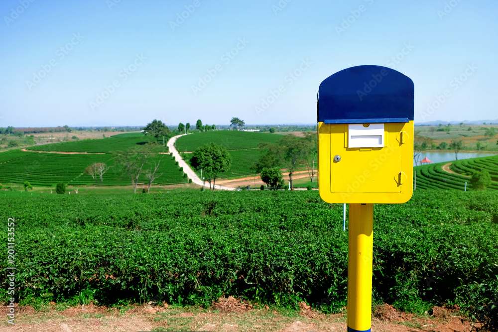 Yellow Post Box is located at the Tea Plantation, Chiang Rai, Thailand ...