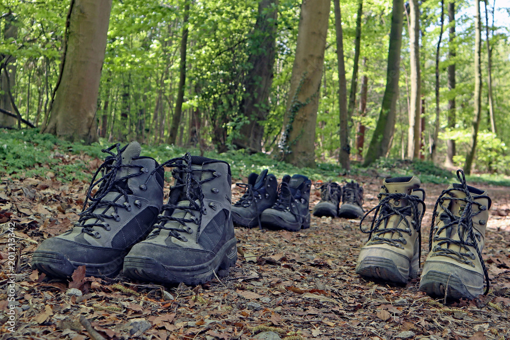 Wanderschuhe im Wald Stock-Foto | Adobe Stock