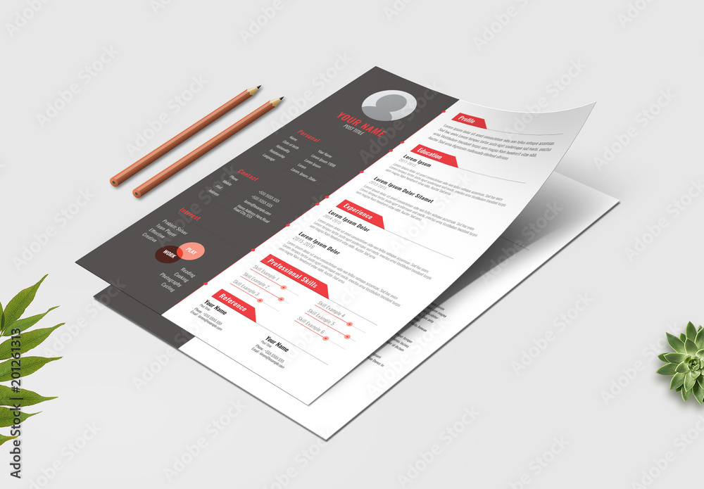 Dark Gray and White Resume Layout Stock Template | Adobe Stock