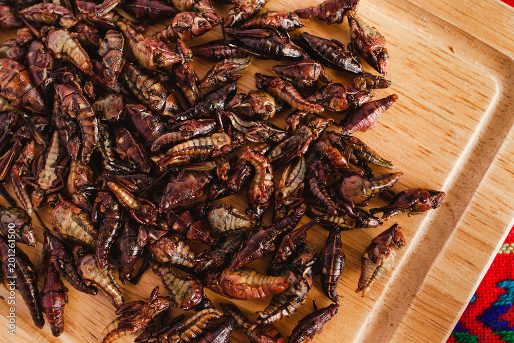 Mexican Fried Grasshoppers