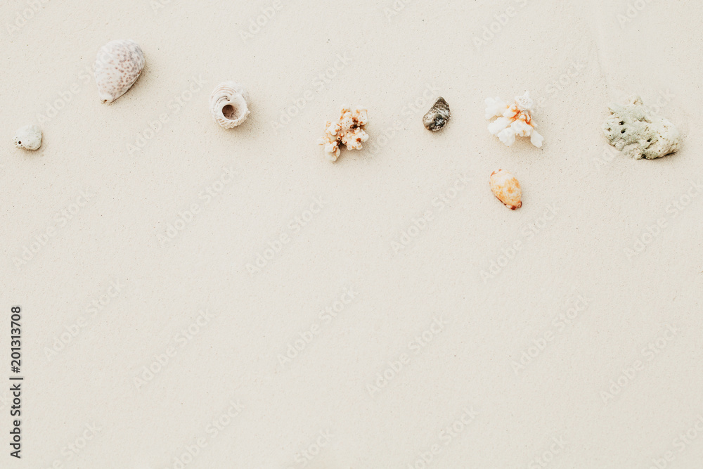 Sea shells and corals on white soft sand beach with copy space. Flat ...