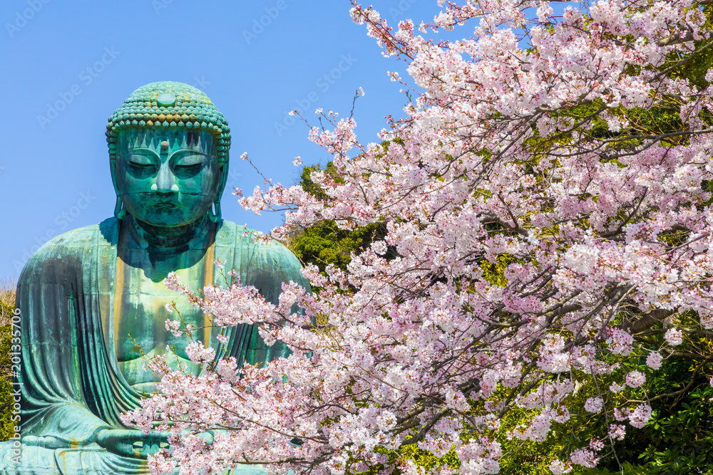 Sakura Kamakura