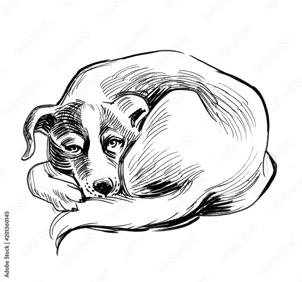 Dogs Ink Drawing