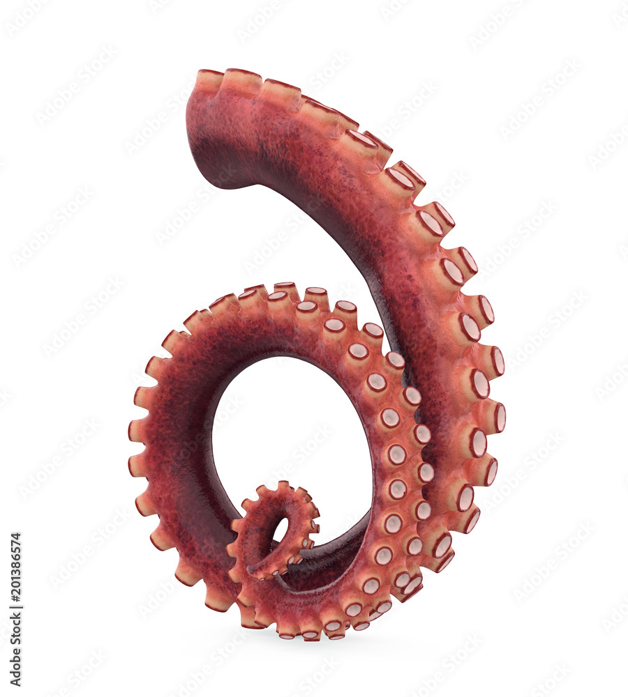 Octopus Tentacle Isolated Stock Illustration | Adobe Stock
