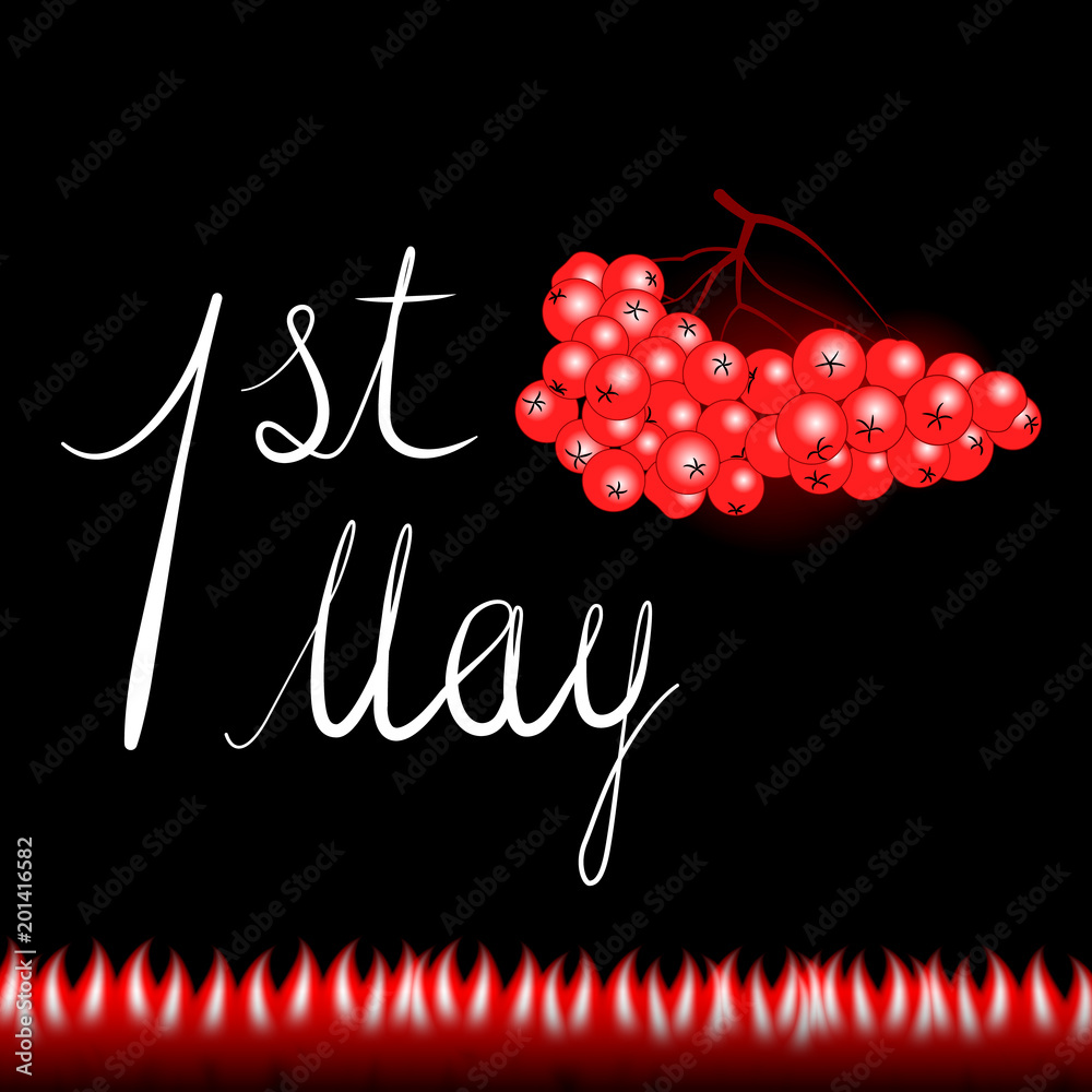 1st may day simple white hand lettering with rowan fruit of celtic may ...