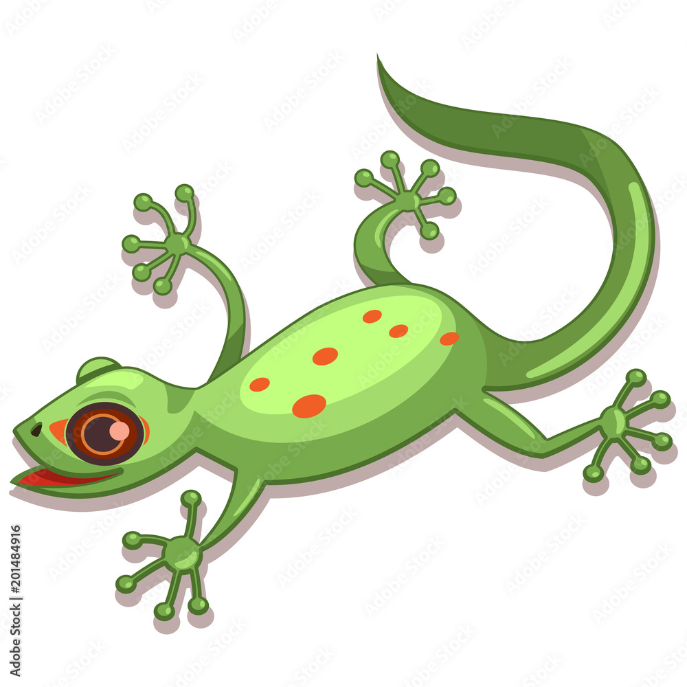 Gecko reptile cartoon vector illustration isolated on white background ...
