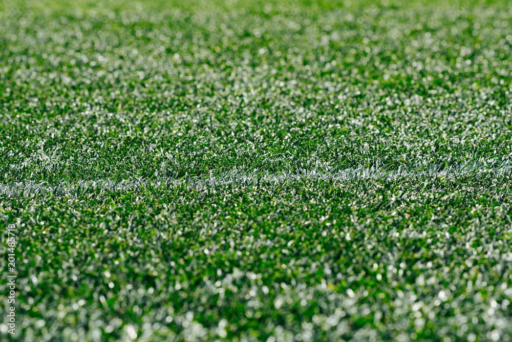 Soccer and agriculture. Pattern of fresh green grass for football sport ...