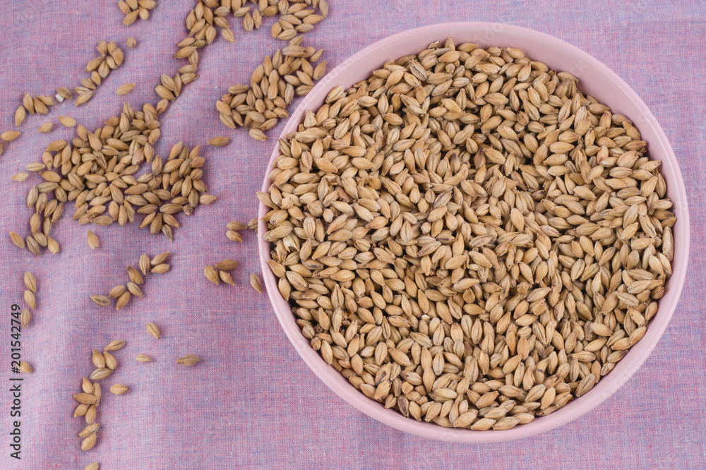 Pale malt in pink bowl on purple textile background. Craft beer brewing ...