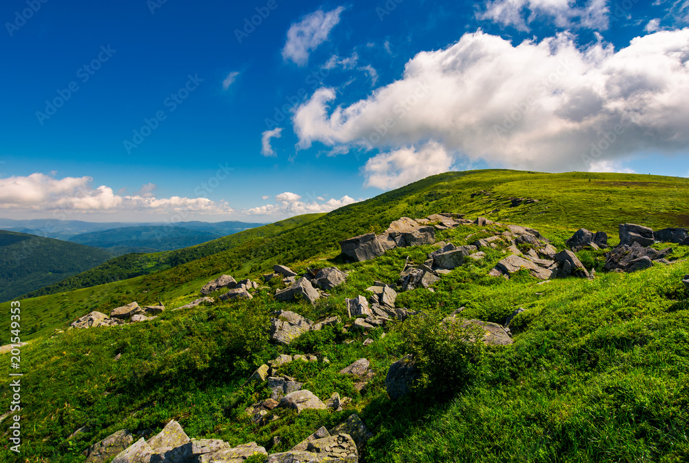 Rocky Grassy Landscape