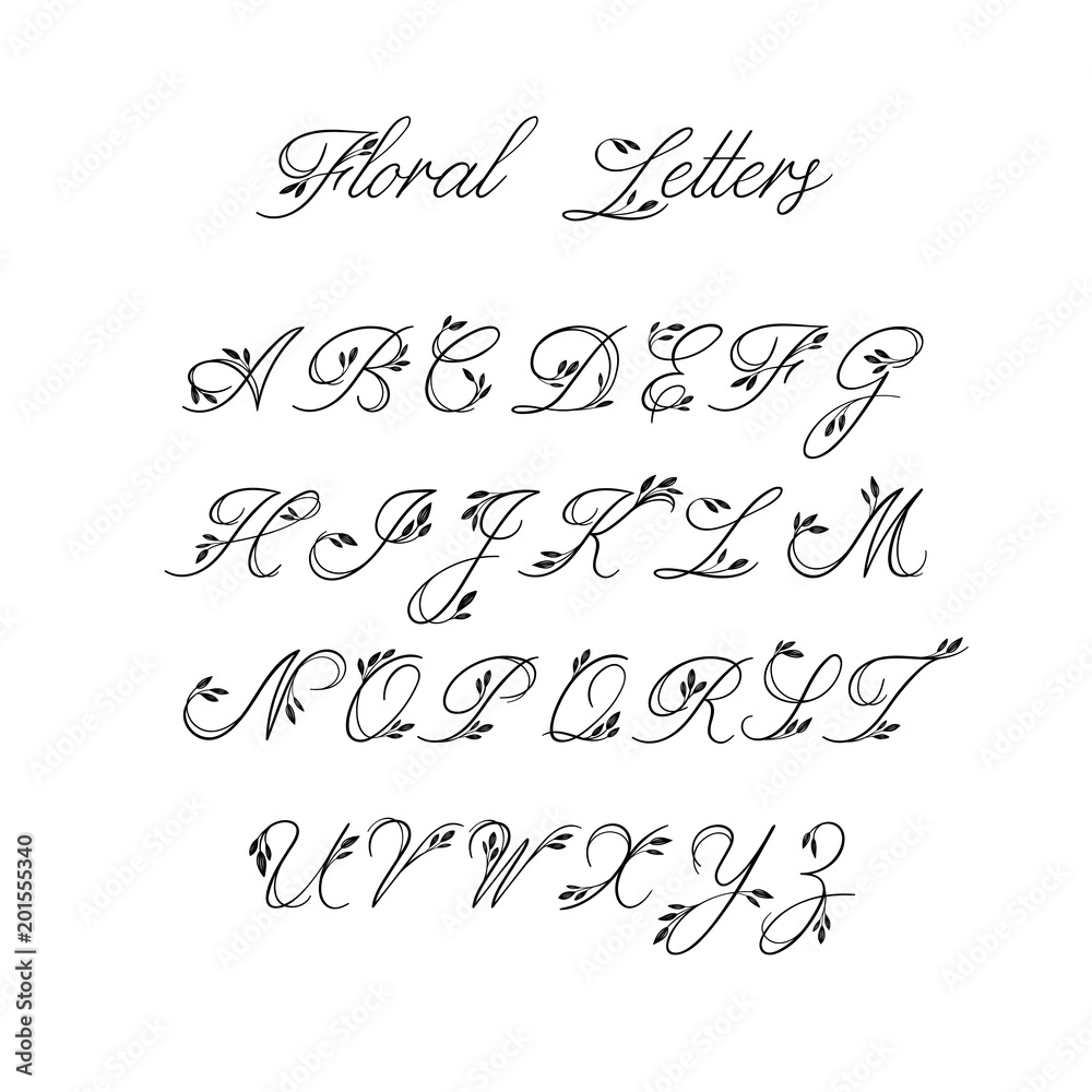 Calligraphy alphabet. Decorative handwritten brush font. Vector letters ...