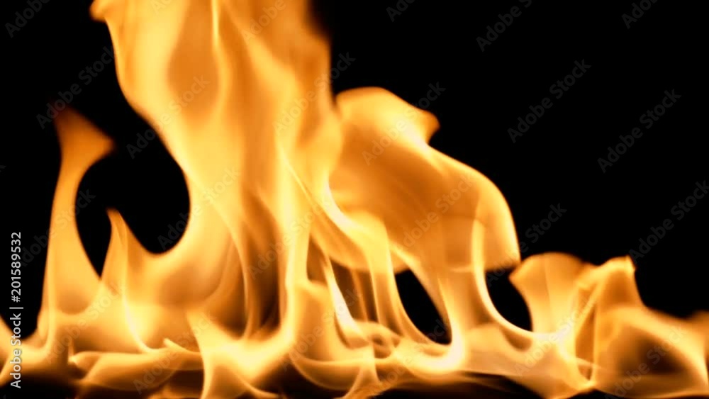 Slow movement of clean fire, igniting and burning. On a black ...