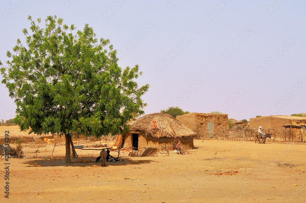 Village in the area of Sahel in Chad Stock-Foto | Adobe Stock