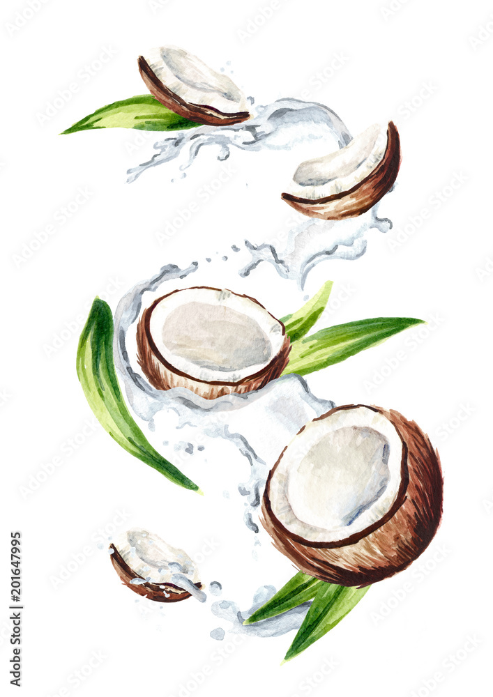 Cracked coconut and green leaves with splash. Watercolor hand drawn ...