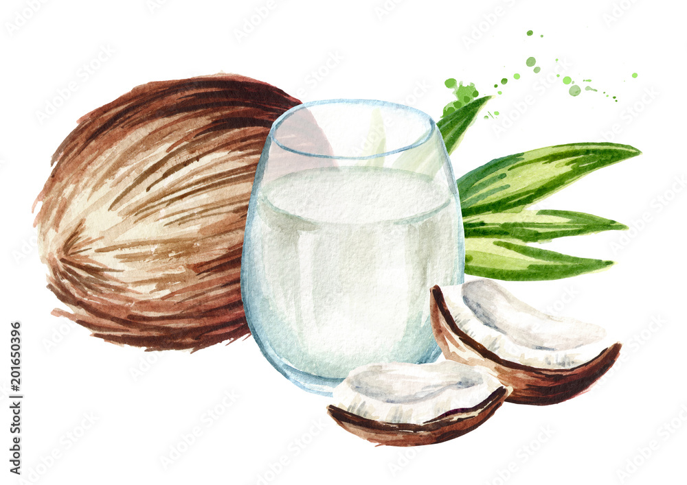 Glass of coconut milk with coconut and green leaves. Watercolor hand ...
