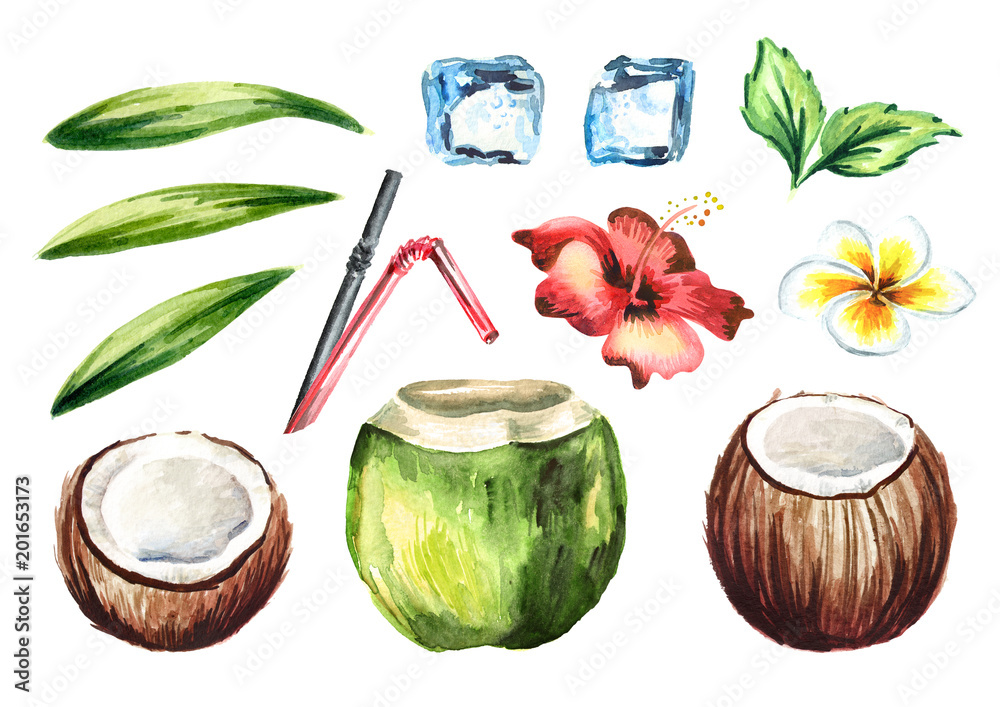Tropical fresh coconut cocktail set with straws, mint, plumeria ...