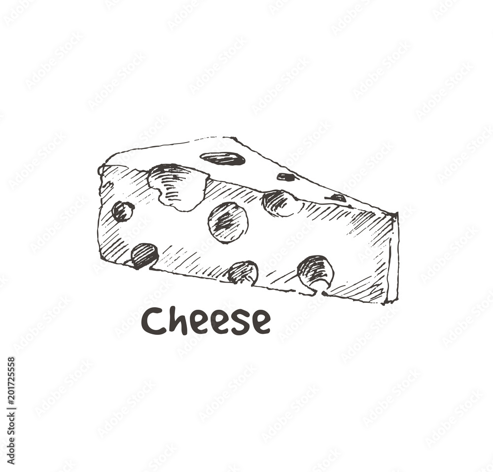 Hand drawn piece of cheese. Sketch, vector illustration. Stock Vector ...