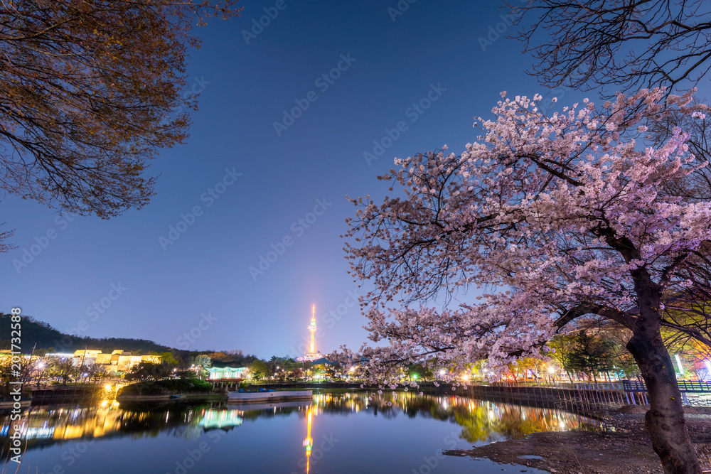 83 Tower is a landmark of Daegu city at night and cherry blossom tree ...