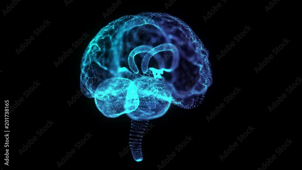 Rotating 360 degree hologram of human brain. Glowing blue light ...
