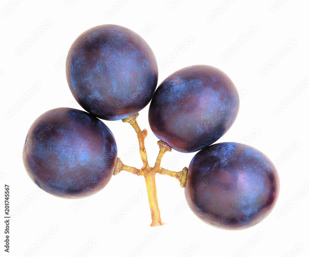 Small branch of grape berries, cutout, top view, overhead shot. Blue ...