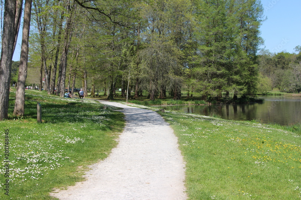 Chemin de promenade avec virages dans parc vert aménagé au bord du lac ...
