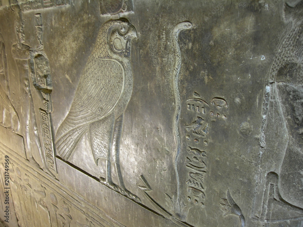 Original Egyptian hieroglyphs, - images of bird, snake and others Stock ...
