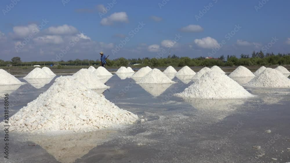 White salt field in sunny day. Royalty high quality free stock footage ...
