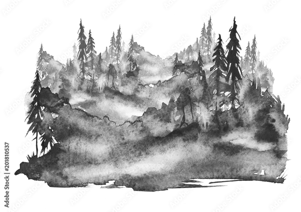 Watercolor group of trees - fir, pine, cedar, fir-tree. black and white ...