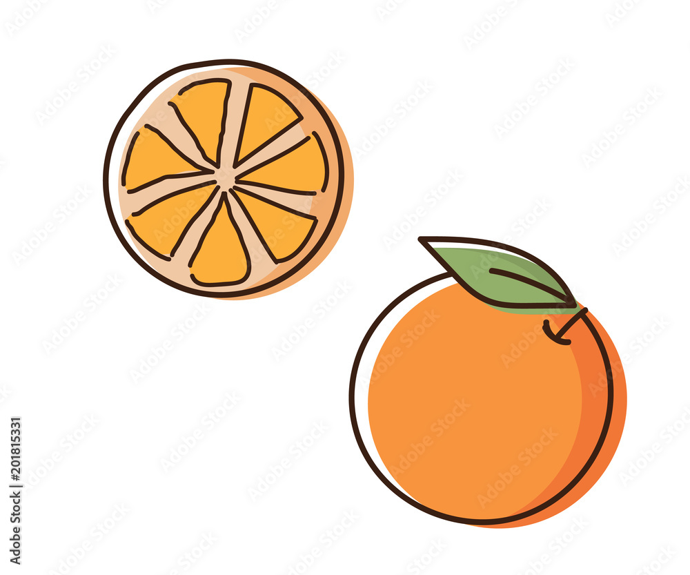 Orange outline illustration with watercolor effect. Vector doodle ...
