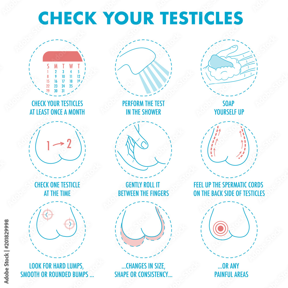 Testicles Self Exam Testicle Cancer Symptoms And Monthly Examination