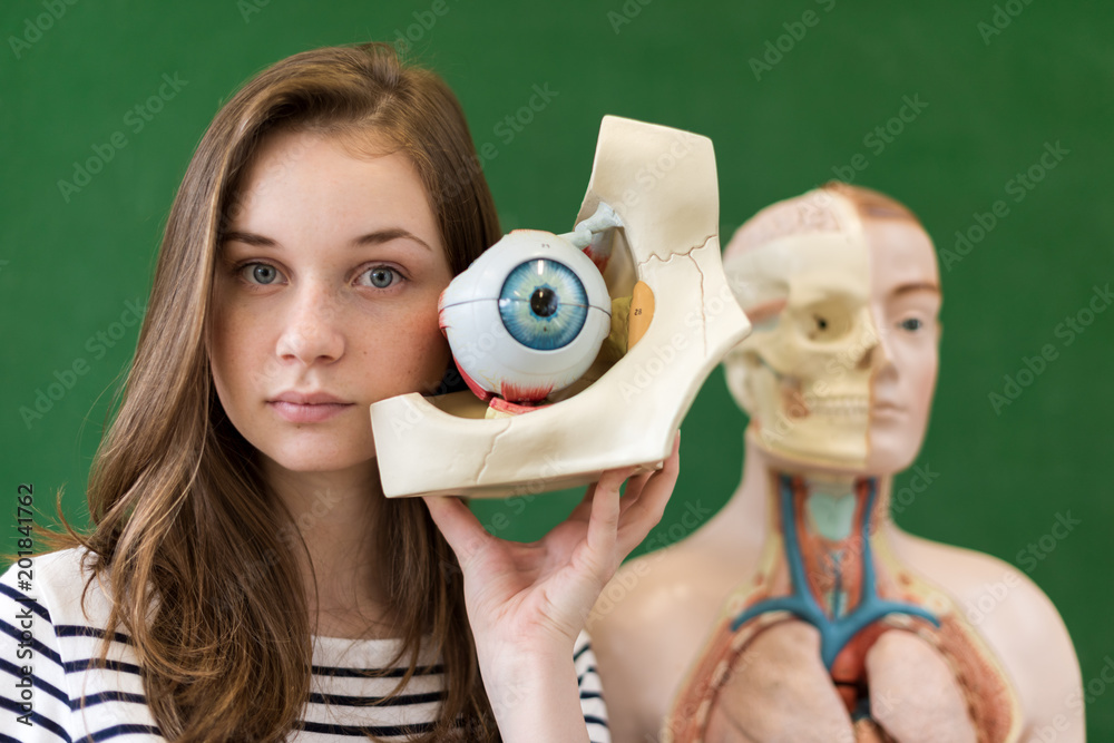 Young female high school student holding human eye model. Student ...