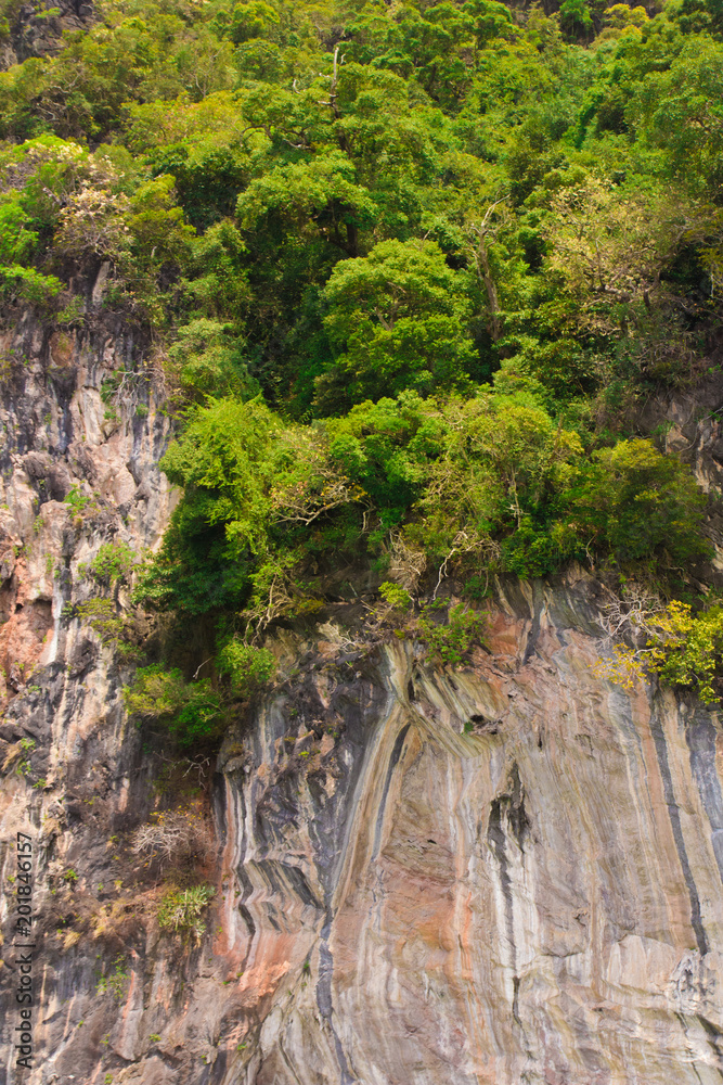 Monumentally rock reliefs thai stone texture with green plants ...