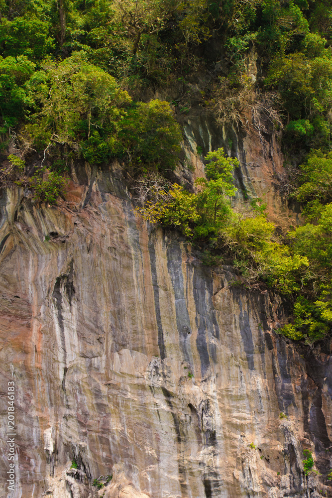 Monumentally rock reliefs thai stone texture with green plants ...