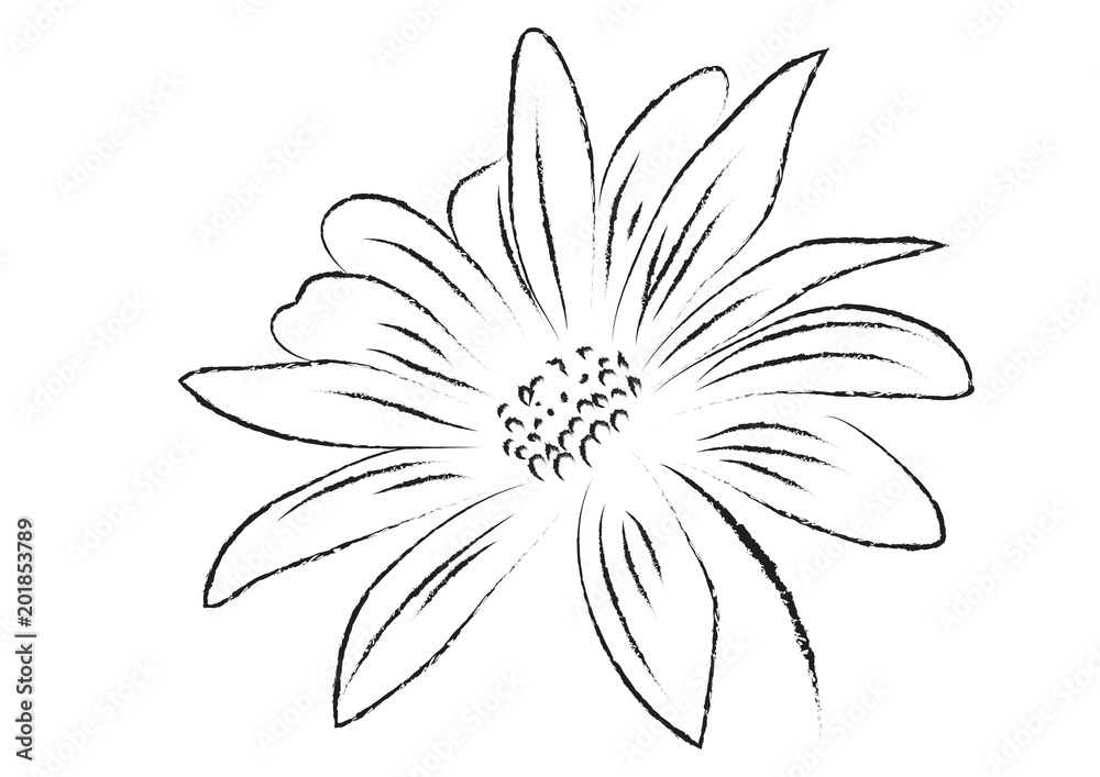 Gerbera flower black and white isolated vector illustration, abstract ...