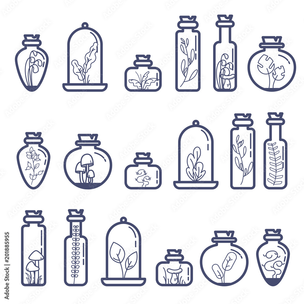 Set of different terrarium bottles with grass and mushrooms. Flat ...