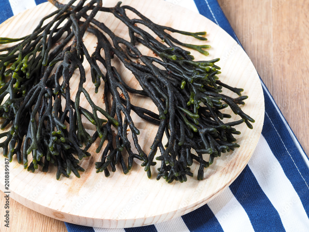 Foto de Codium – Velvet horn – Spongeweed. Edible green seaweed in the ...
