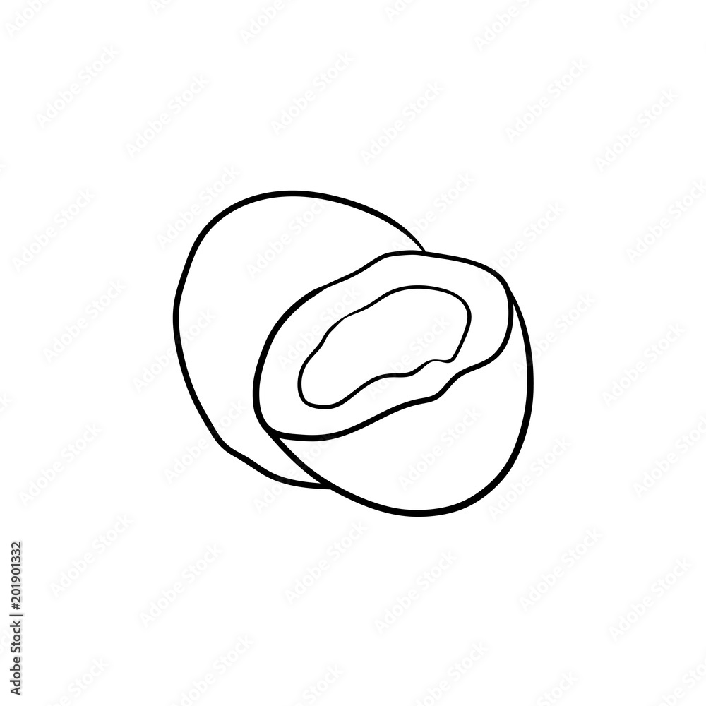 Coconut hand drawn outline doodle icon. Vector sketch illustration of ...