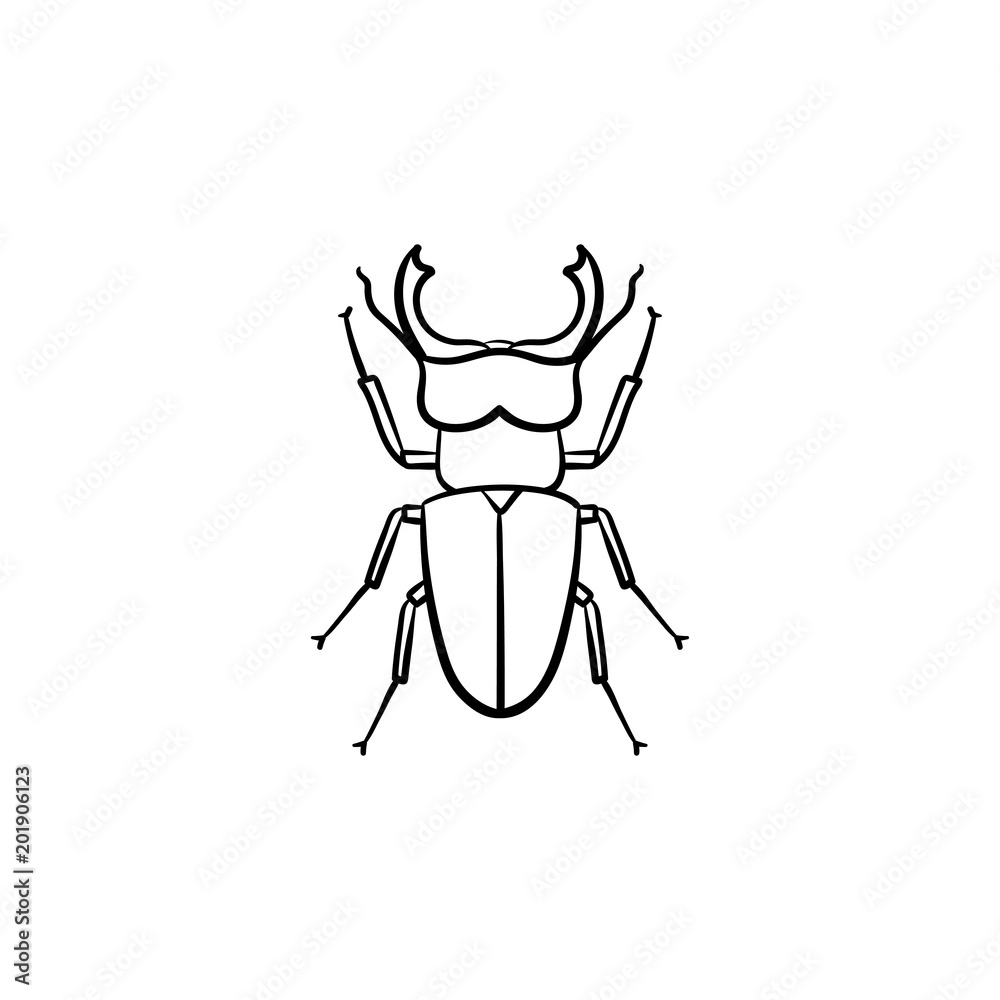 Beetle Outline
