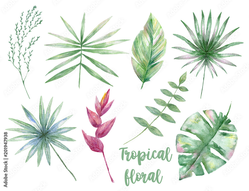 Watercolor tropical floral clip art jungle drawing, illustration on ...