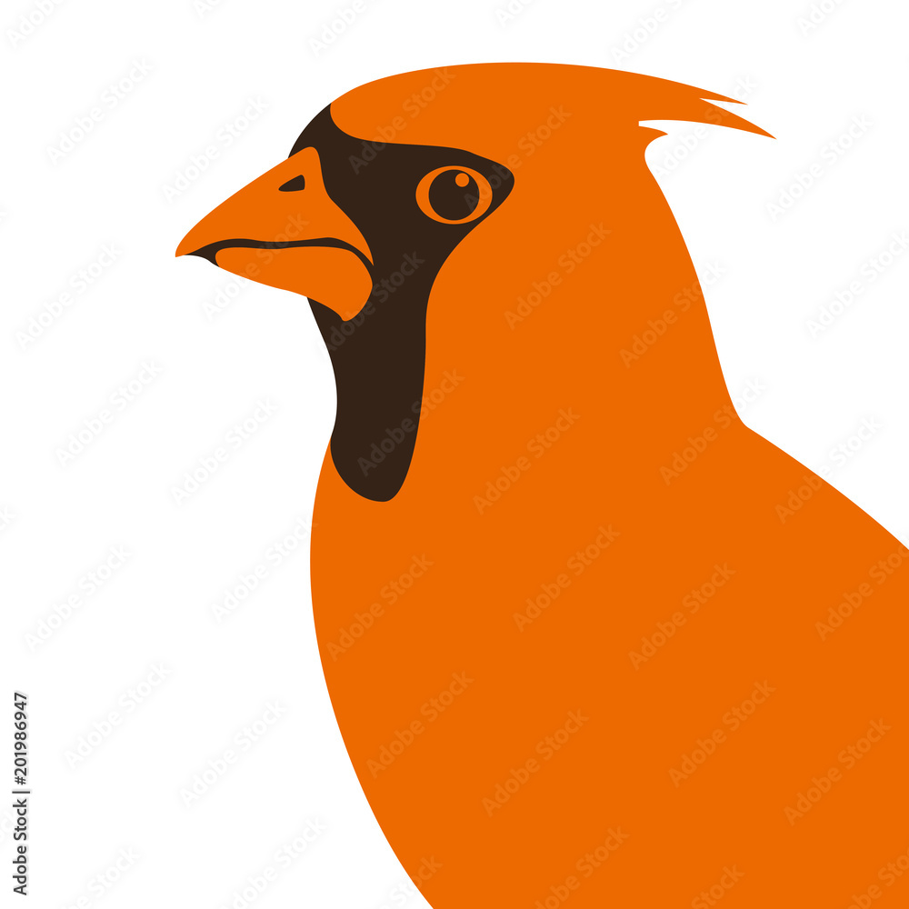 cardinal vector illustration flat style profile side Stock Vector ...