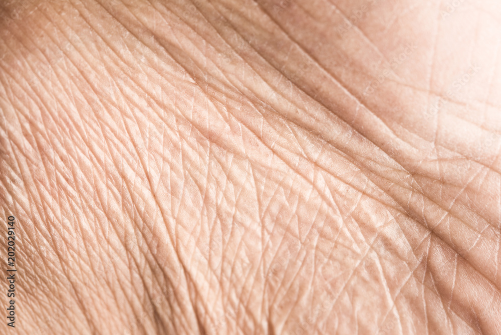 Close up skin texture with wrinkles on body human Photos | Adobe Stock