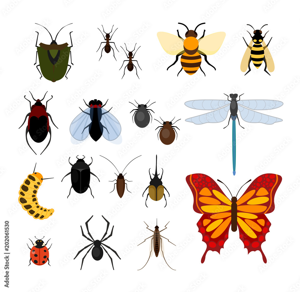 Vector illustration set of different types of insects in flat style ...