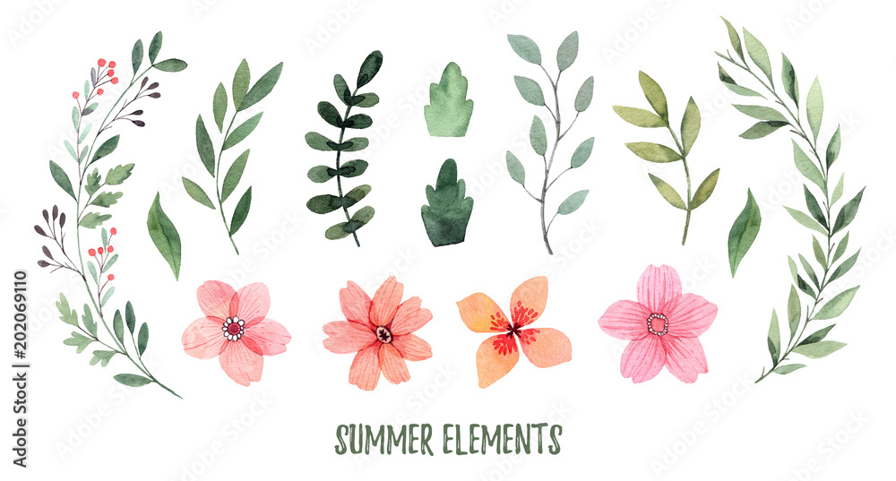 Watercolor illustration. Summer foliage. Botanical collection of green ...