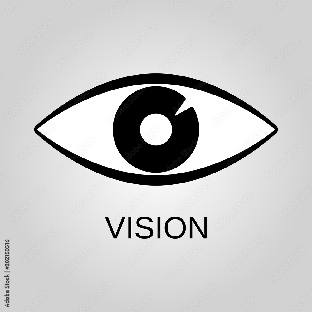 Vision Icon