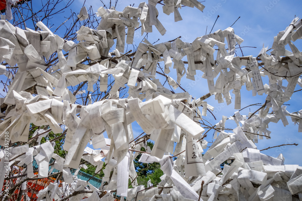 Omikuji tree at Heian Jingu Shrine temple, Kyoto, Japan Stock Photo ...