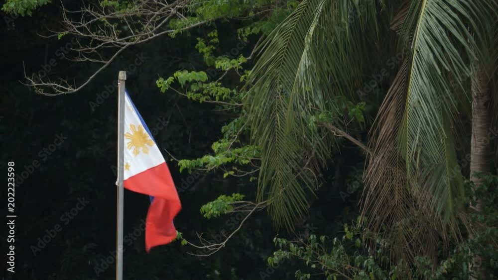 Flag of Philippines in front of coconut trees Stock Video | Adobe Stock